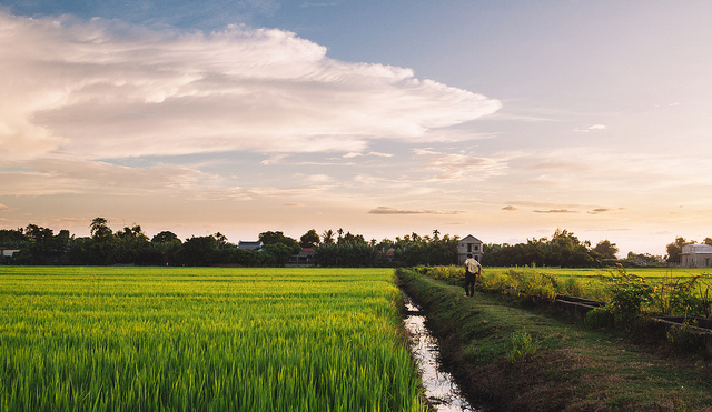 UNITAR and UN Environment launch environmental governance course | UN-Water