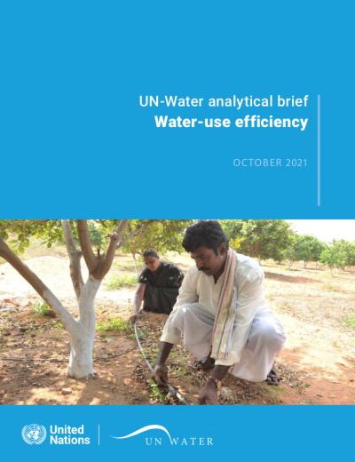 UN-Water analytical brief Water-use efficiency | UN-Water