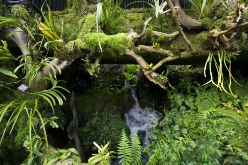 The Singapore Water Academy host water management series on water ...