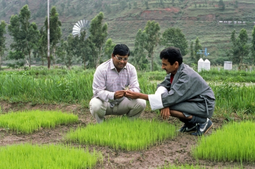 Drought relief for farmers using real-time data | UN-Water Drought relief for farmers using real-time data | UN-Water