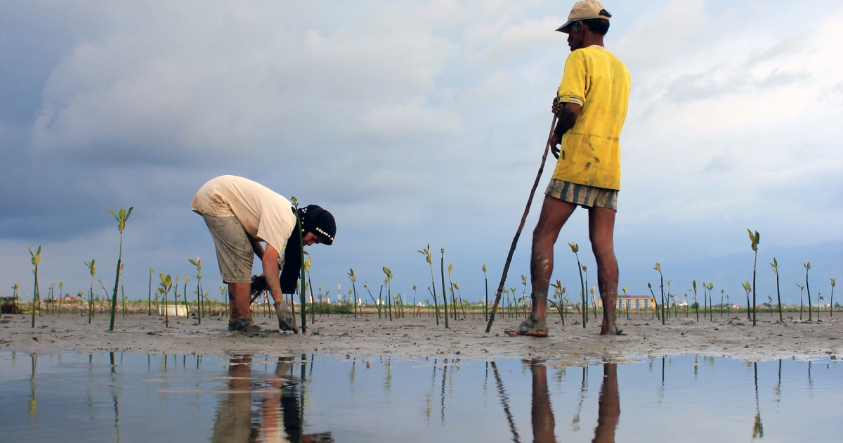 COP28: Water is critical to climate change mitigation | UN-Water