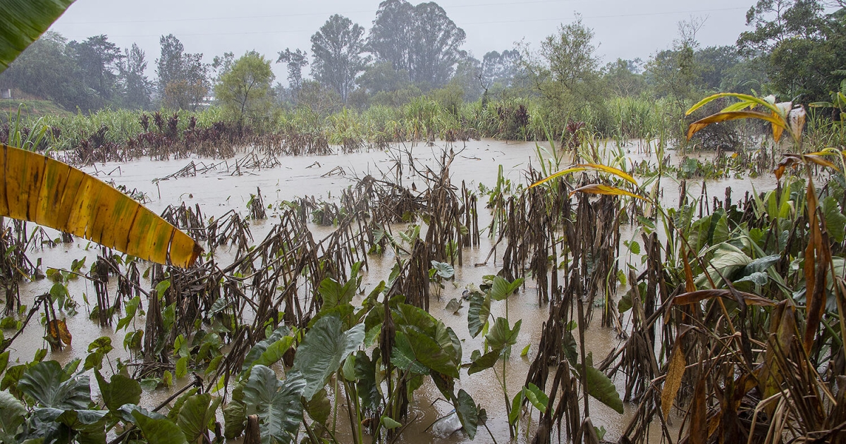 UNU-EHS report: Interconnected Disaster Risks - Turning Over A New Leaf ...