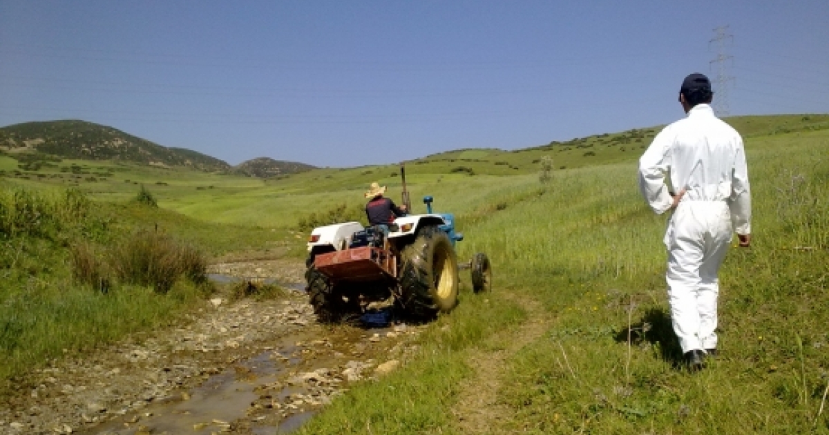 Nuclear science helps farmers in Morocco | UN-Water